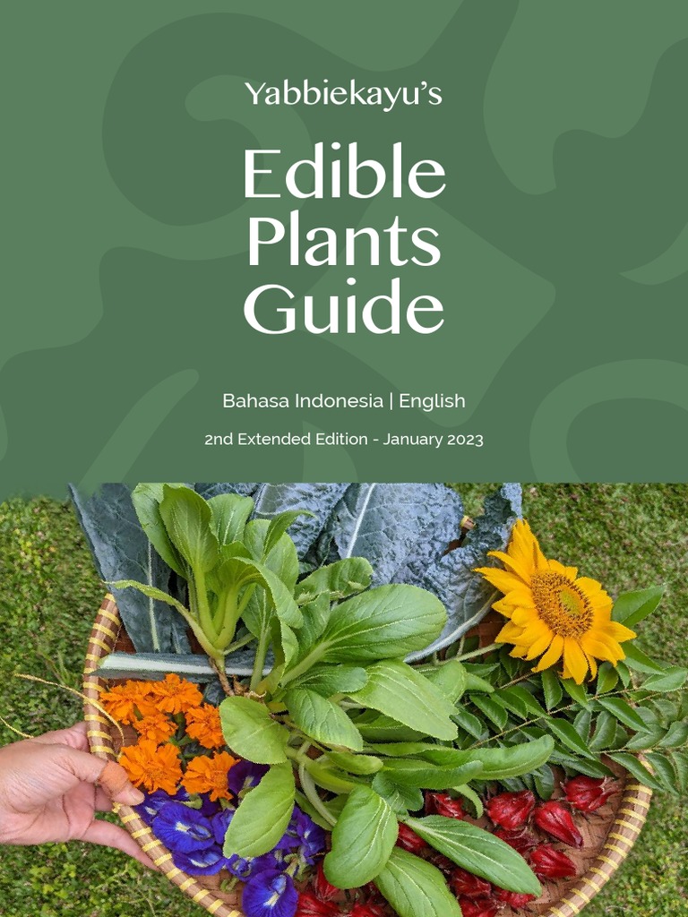 Edible Plants Guide: Yabbiekayu's | PDF