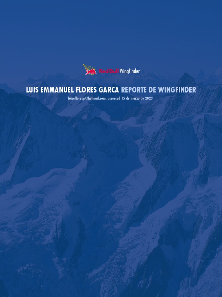 Reporte de Wingfinder Red Bull. | PDF | Creatividad | Pensamiento