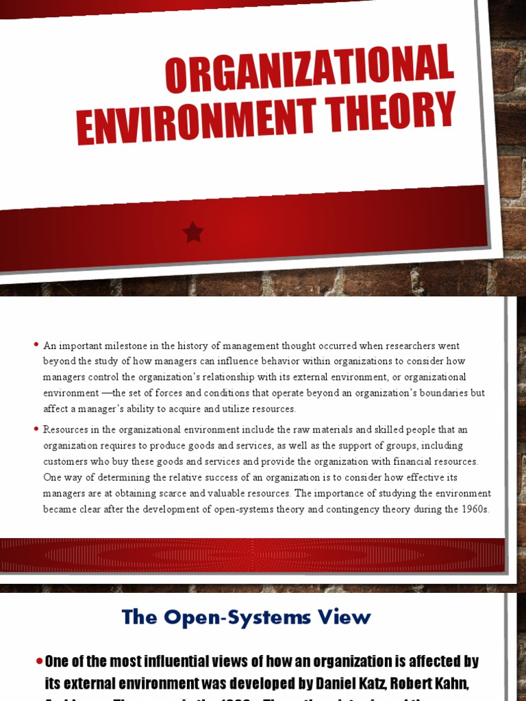 Organizational Environmental Theory | Download Free PDF | System ...