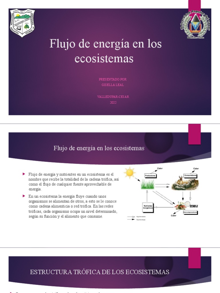 Flujo de Energía en Los Ecosistemas Diapositivas | PDF