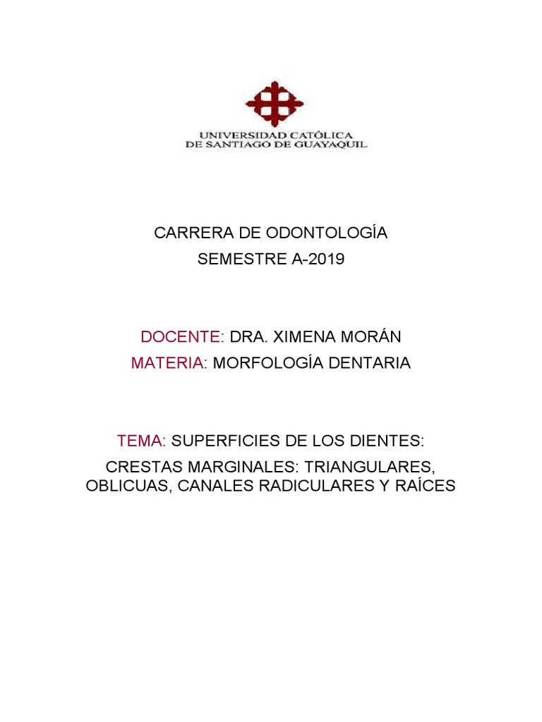 Superficeis Dentarias Crestas | PDF | Diente | Anatomía