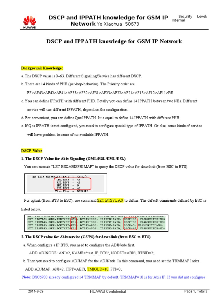 DSCP and IPPATH in GSM IP Networks | PDF | Network Architecture | Telecommunications