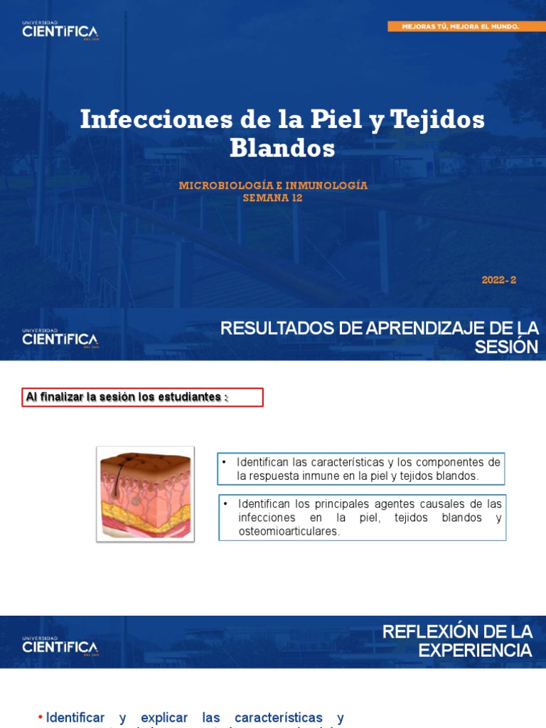Clase N12 - Infecciones de La Piel y Tejidos Blandos | PDF | Infección | Medicina