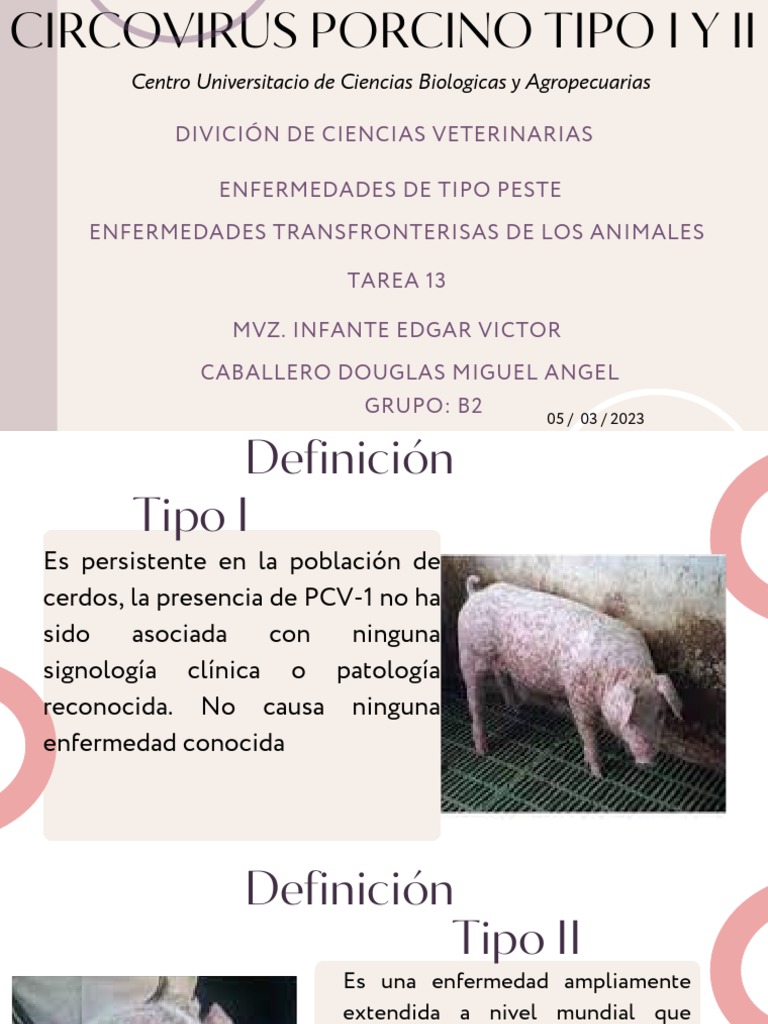 Circovirus Porcino Tipo I y II | PDF | Hibridación in situ | Medicina