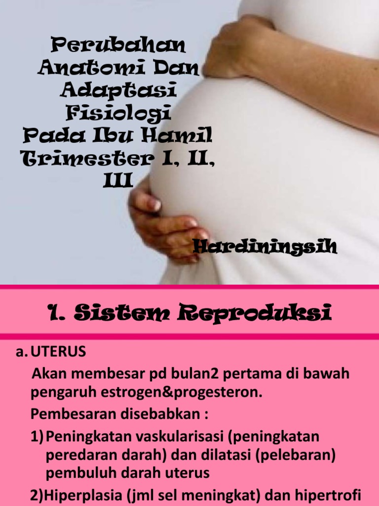 Perubahan Anatomi dan Adaptasi Fisiologi pada Ibu Hamil selama ... Perubahan Anatomi dan Adaptasi Fisiologi pada Ibu Hamil selama ...