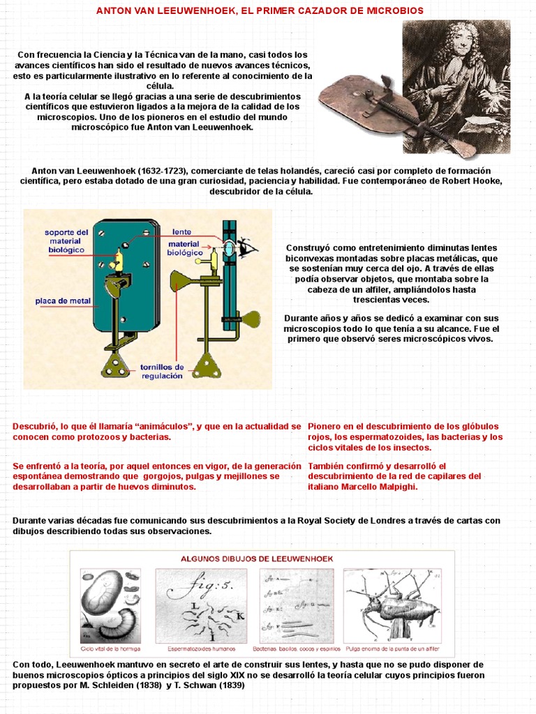 Leeuwenhoe, Primer Cazador de Microbios | PDF | Microscopio | Microscopía Leeuwenhoe, Primer Cazador de Microbios | PDF | Microscopio | Microscopía