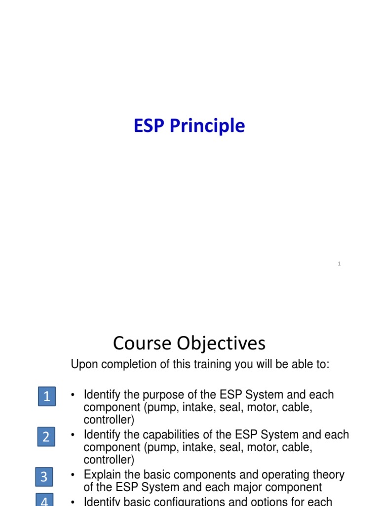 ESP Overview | PDF | Pump | Electric Motor