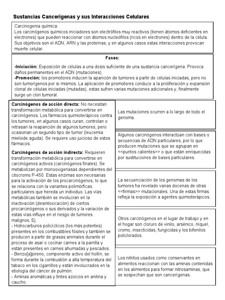 Carcinógenos Químicos y Radiactivos: Mecanismos de Acción y Efectos ...
