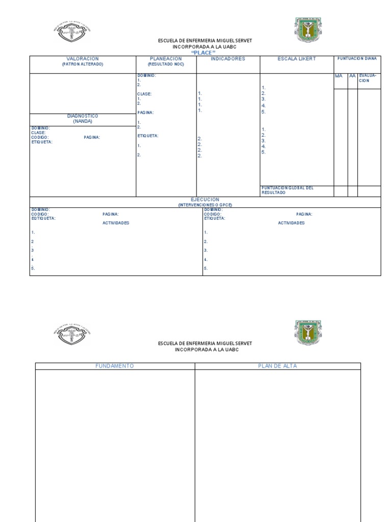 Plan de Alta en Enfermería UABC | PDF