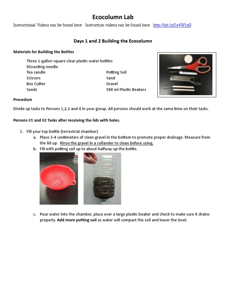 Ecocolumn Lab: Days 1 and 2 Building The Ecocolumn | PDF | Water ...