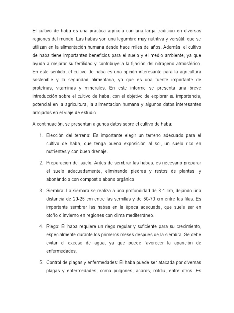 Cultivo de Haba | PDF | Agricultura | Siembra