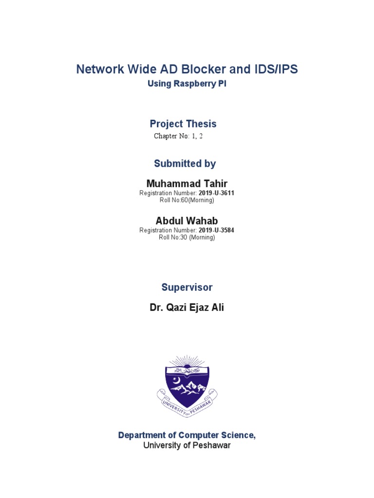 Network Wide AD Blocker and IDS/IPS: Project Thesis | PDF | Domain Name System | Computing