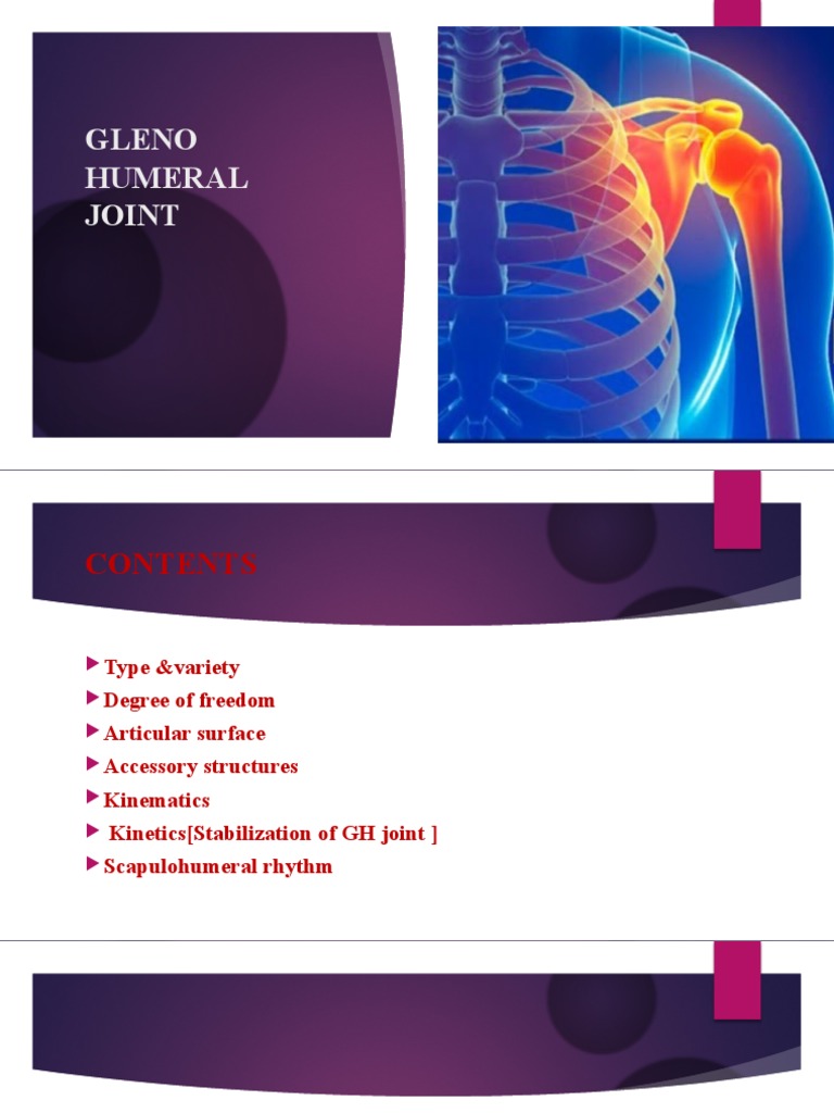 Glenohumeral Joint | PDF | Anatomical Terms Of Motion | Musculoskeletal ...