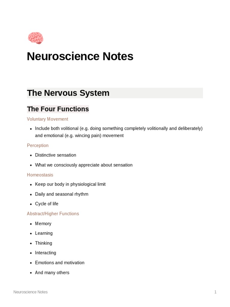 Neuroscience Notes | PDF | Neuron | Brain