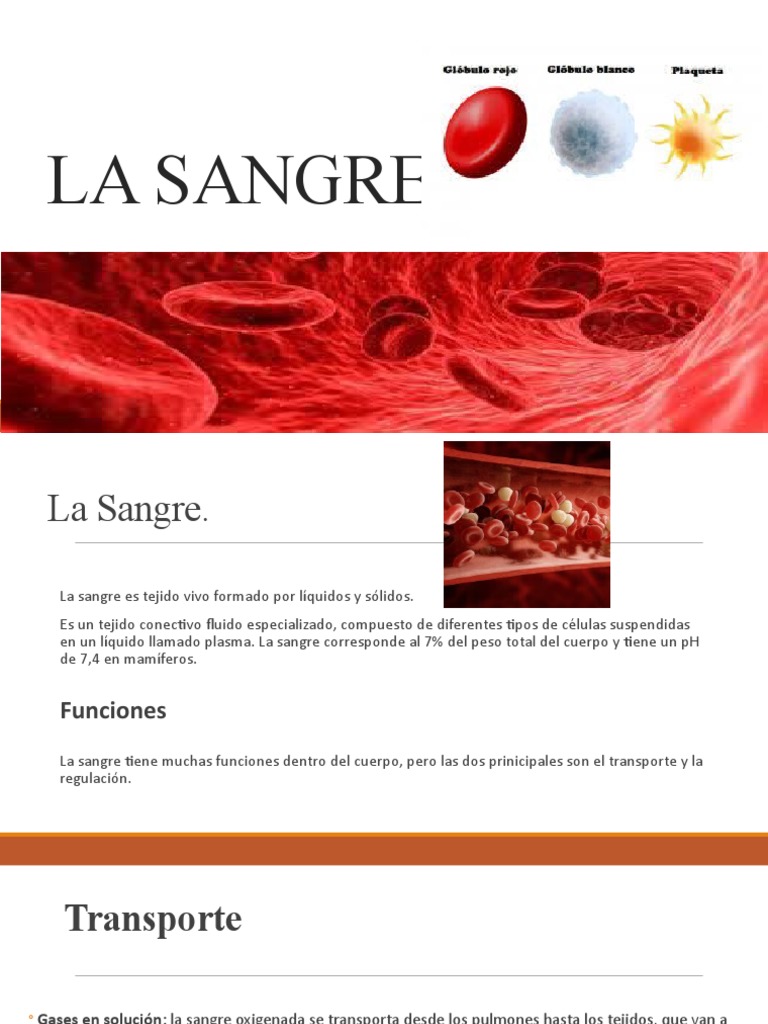 La Sangre | PDF | Sangre | Leucocito La Sangre | PDF | Sangre | Leucocito