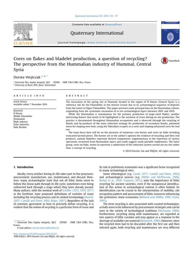 Cores On Flakes and Bladelet Production | PDF | Flint | Cerebral Cortex