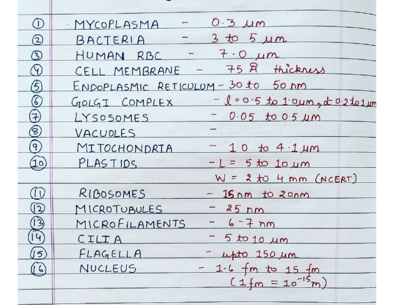 Cell Biology-Size Chart Summary | PDF