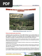 Cocori Libro Completo | PDF