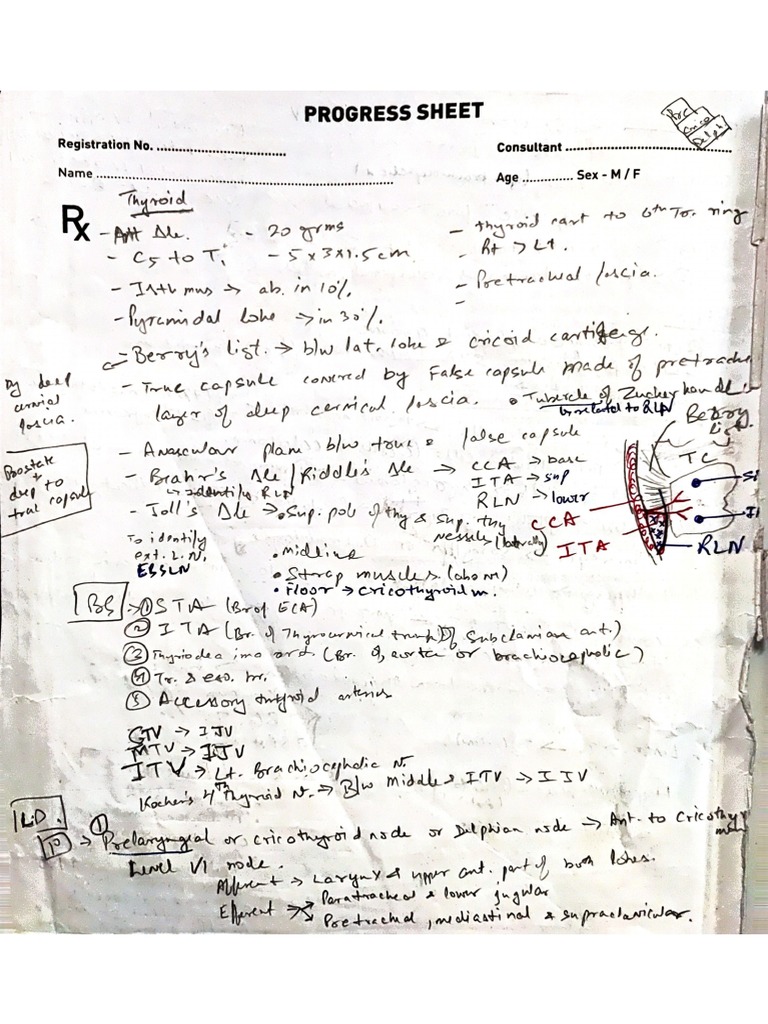 Anatomy Of Thyroid Gland Pdf