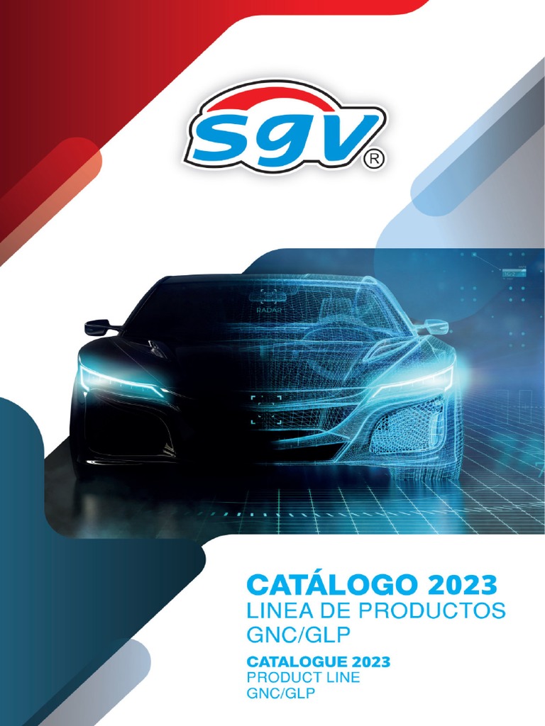 Catalogo SGV 2022 | PDF | Inyección de combustible | Informática