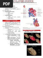 Cardiovascular System | PDF | Atrium (Heart) | Heart
