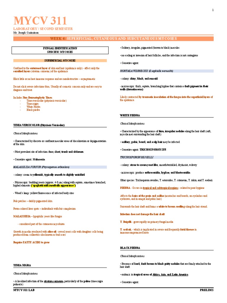 MYCV 311: Week 4 | PDF | Mycology | Diseases And Disorders