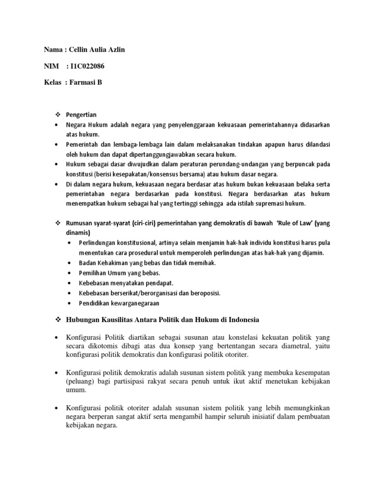 I1C022086 - Resume KWN Hak Asasi Manusia | PDF | Hukum