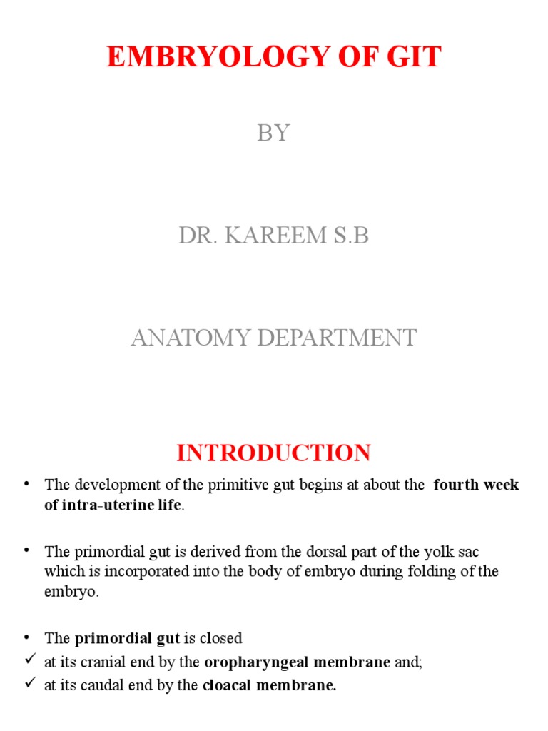 Histology of GIT | PDF | Foreign Language Studies
