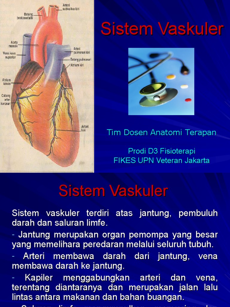 Sistem Vaskuler | PDF