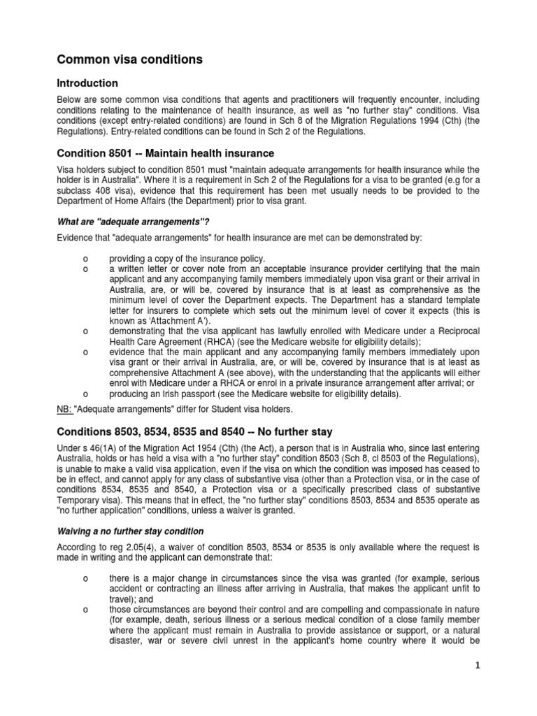 Visa Conditions for Agents | PDF | Travel Visa | Government