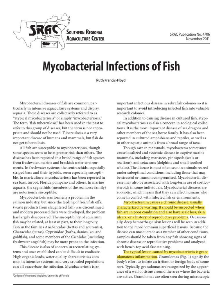SRAC Publication No. 4706 Mycobacterial Infections of Fish | PDF ...