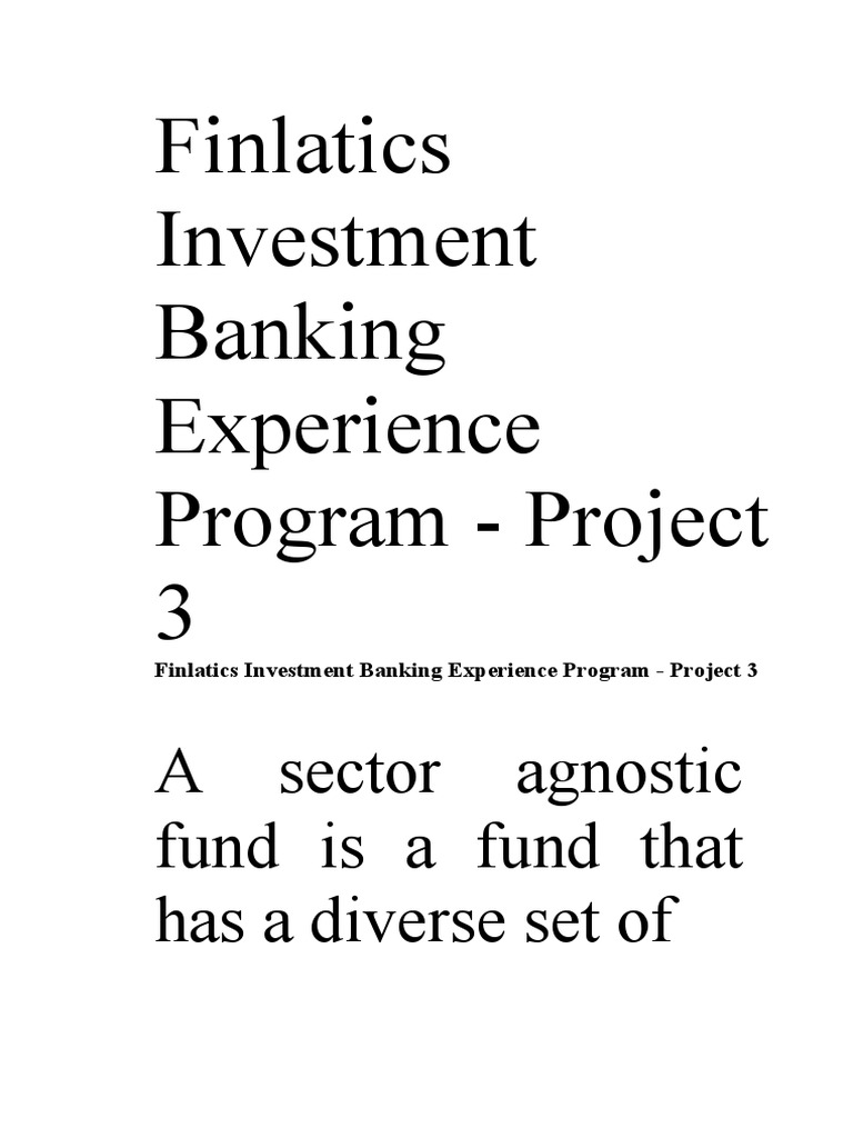 Project3 IBEP | PDF | Startup Company | Small Business & Entrepreneurs