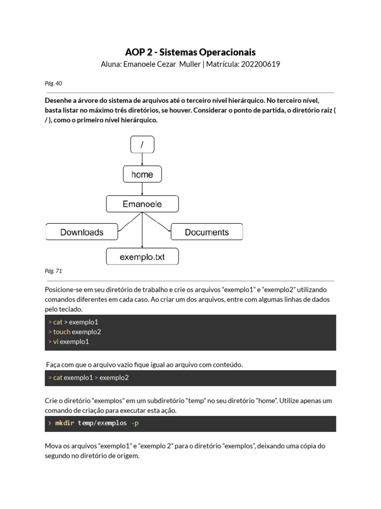 AOP 2 - Sistemas Operacionais: Aluna: Emanoele Cezar Muller - Matrícula: 202200619 | PDF | Unix ...