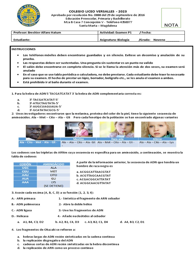 Examen Biologia Noveno P1 | PDF | Adn | Rna