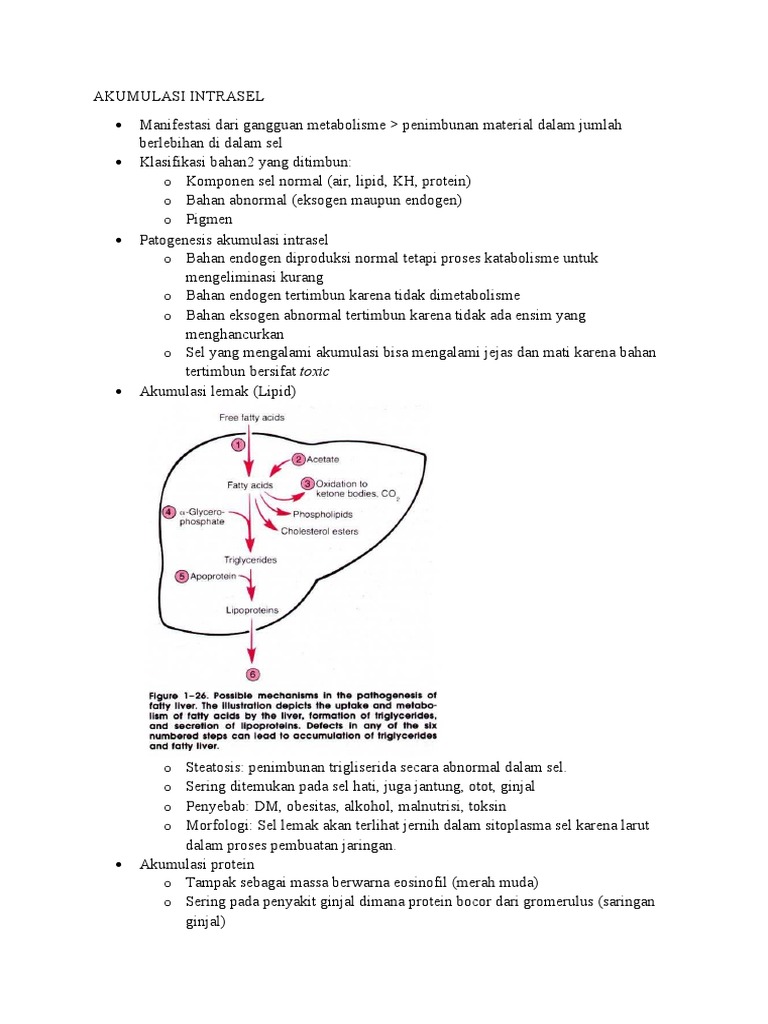 AKUMULASI INTRASEL | PDF