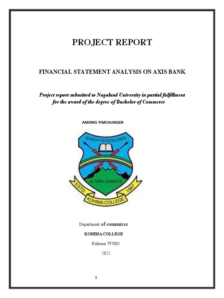 Project Report: Financial Statement Analysis On Axis Bank | PDF