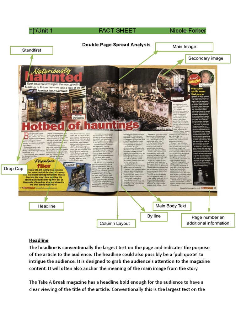 Double Page Spread Design Analysis | PDF | Serif | Page Layout