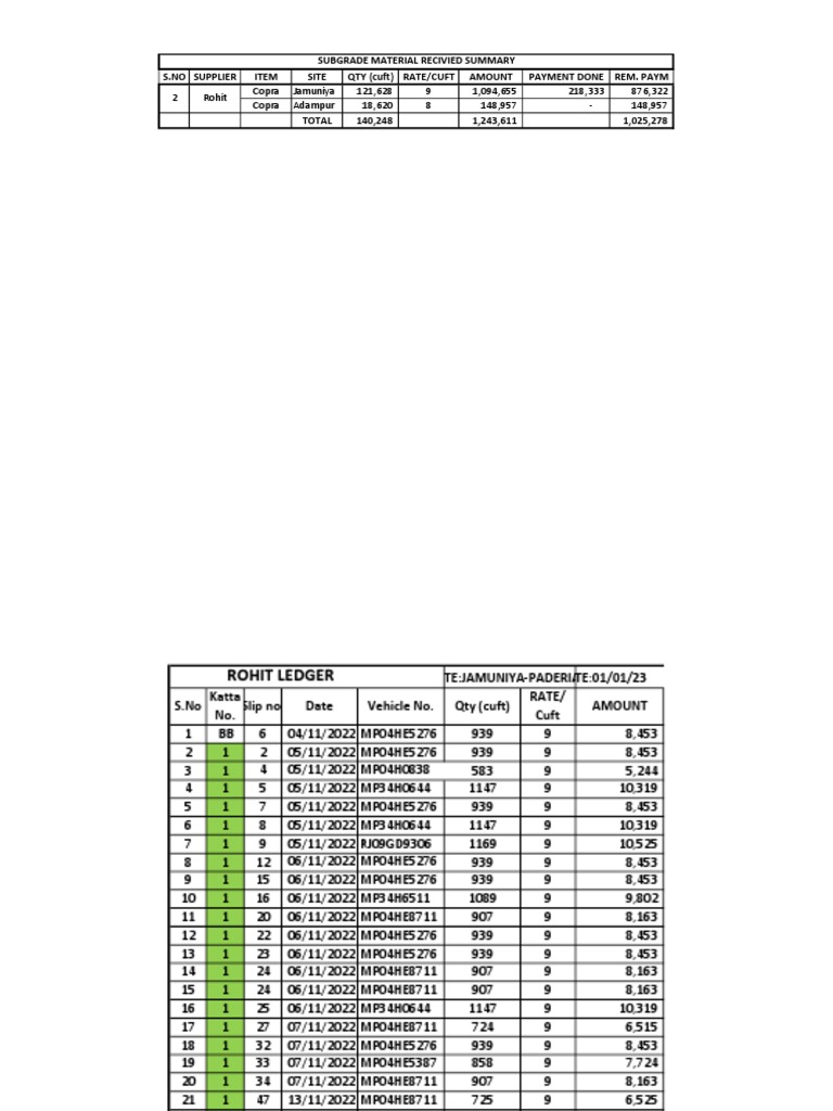 Supplier Payment Summary Report | PDF