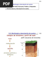 Características del Suelo Gleysol | PDF