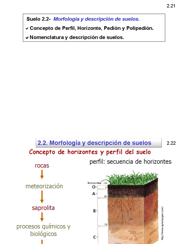 SUELO 2.2. Morfología y Descripción de Suelos | PDF | Suelo | Ciencia ...