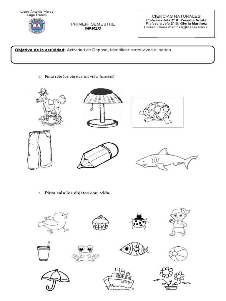 Seres Vivos e Inertes | PDF