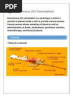 SOP IV Cannulation | PDF | Intravenous Therapy | Medical Specialties