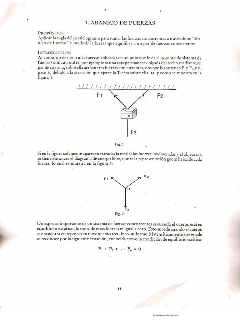 Práctica de Abanico de Fuerzas | PDF