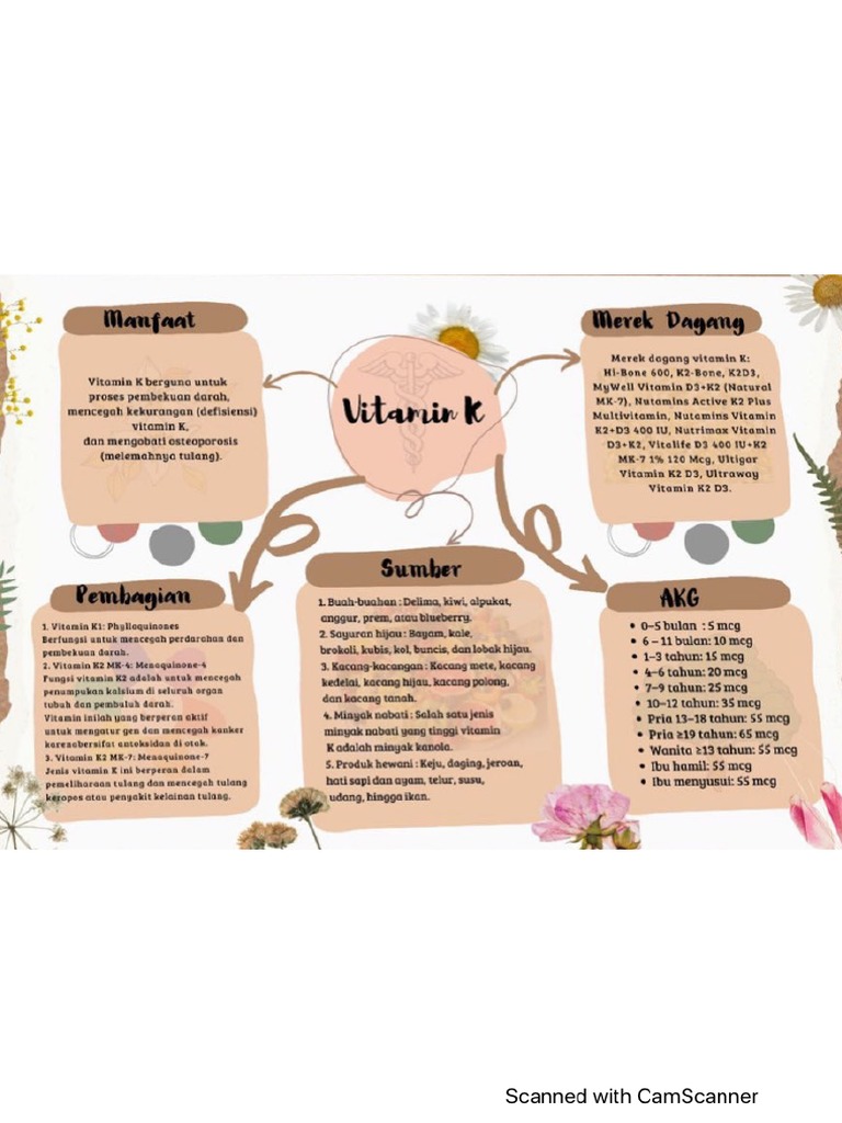 Vitamin E & K | PDF