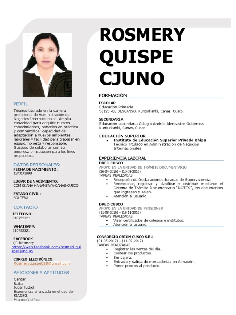 Rosmery Quispe Cjuno: Perfil | Descargar gratis PDF | Informática