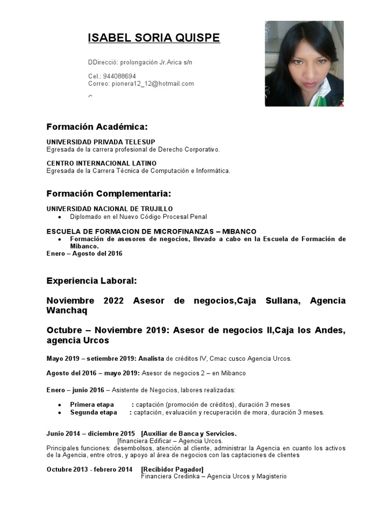 Perfil Profesional de Isabel Soria Quispe | PDF