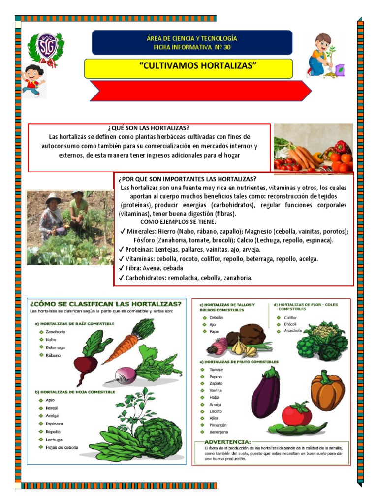 Ficha Informativa #30-Primer Grado-2 | PDF | Siembra | Vegetales