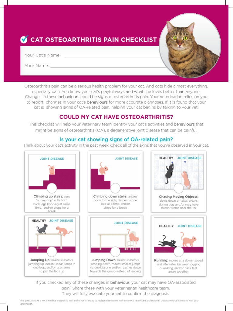 Cat Osteoarthritis Pain Checklist - Uk | PDF | Quality Of Life ...
