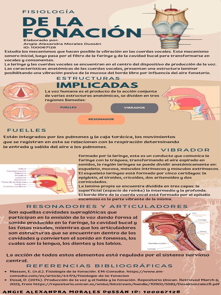 Fisiología de la fonación: Estructuras implicadas en la producción de la voz humana | PDF ...