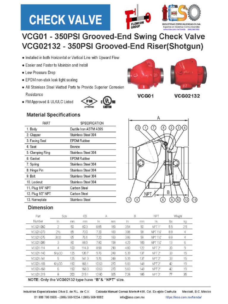 VCG01 VCG02 Válvula Check Especificaciones | PDF